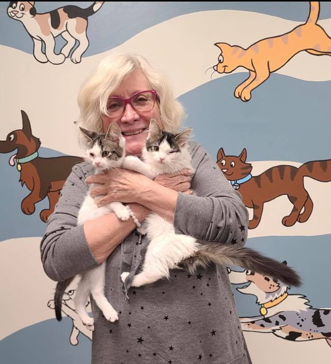 Cat Adoption - Humane Ohio