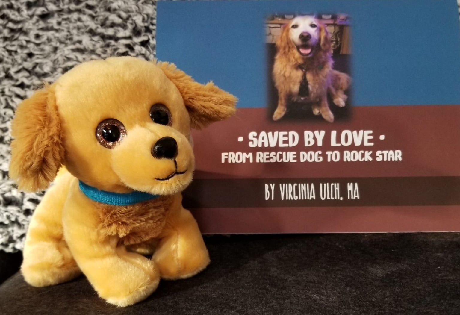 Fundraising Events - Humane Ohio