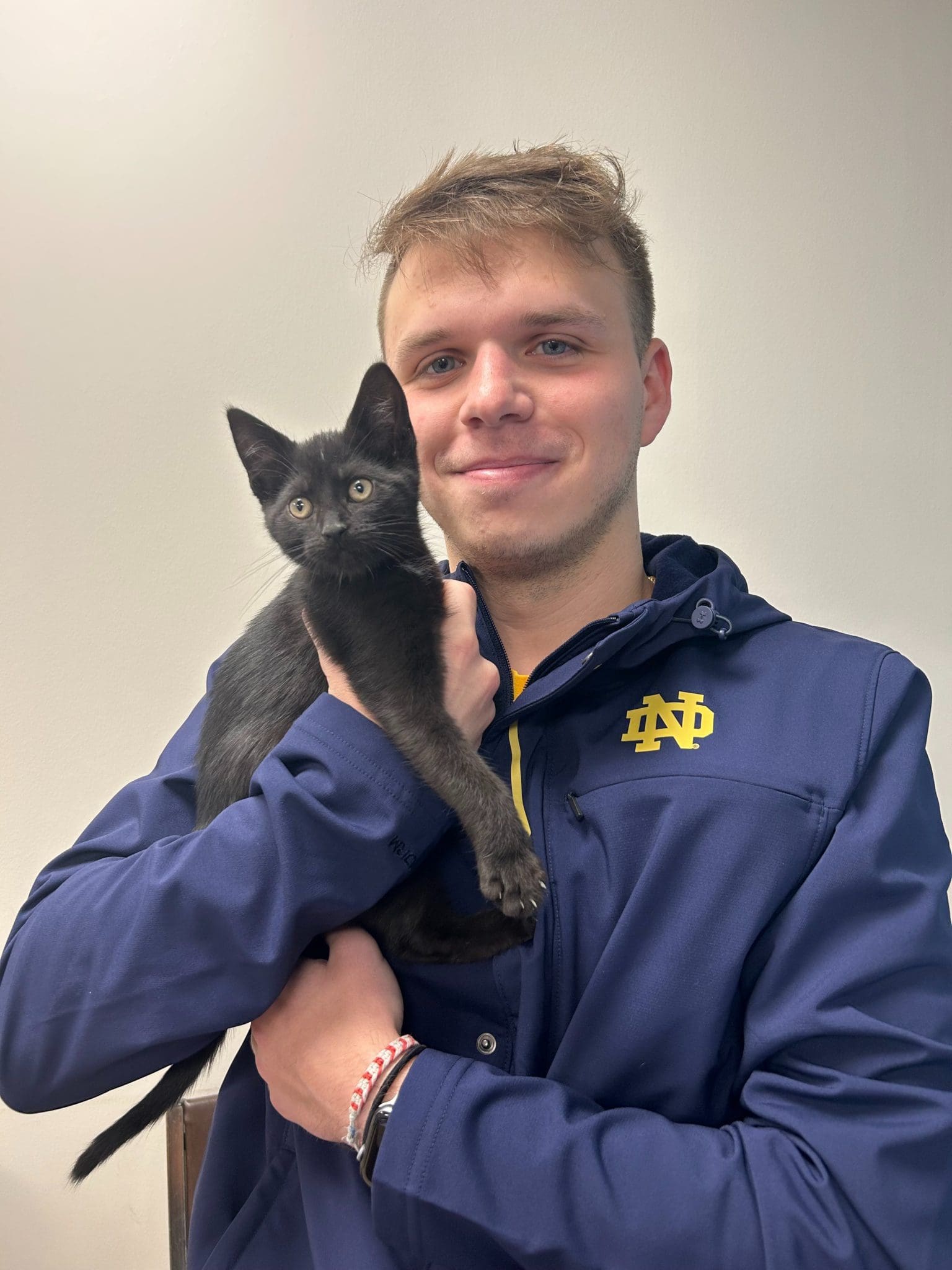 Cat Adoption - Humane Ohio