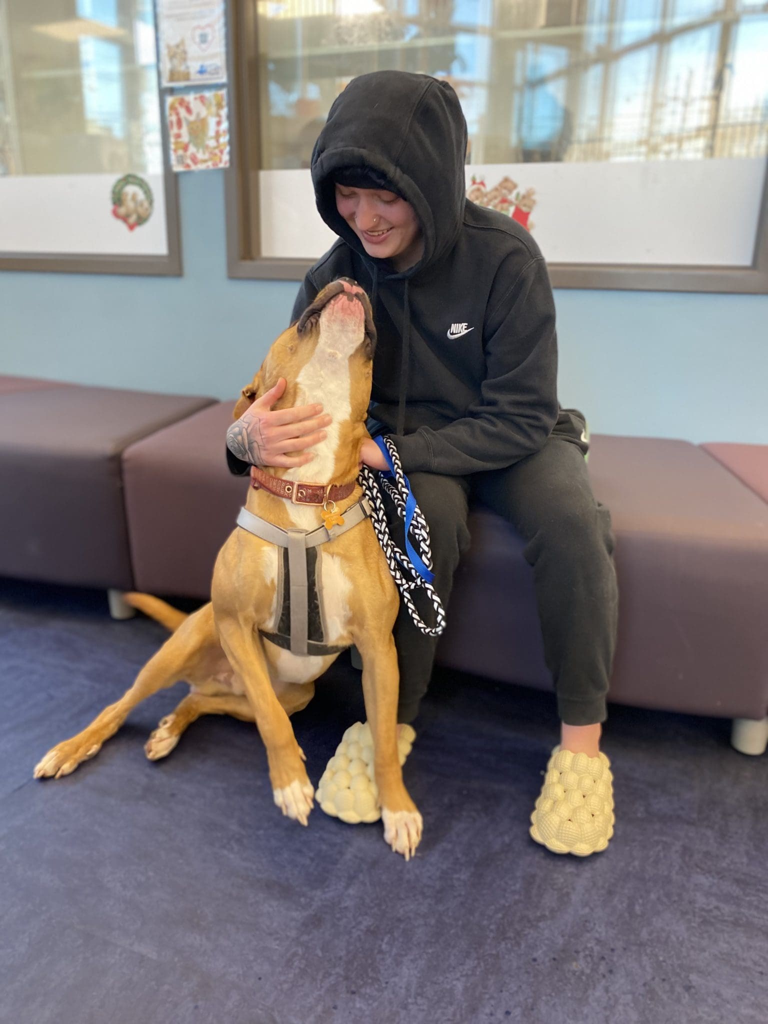 Schedule an Appointment - Humane Ohio