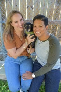 Services & Programs - Humane Ohio