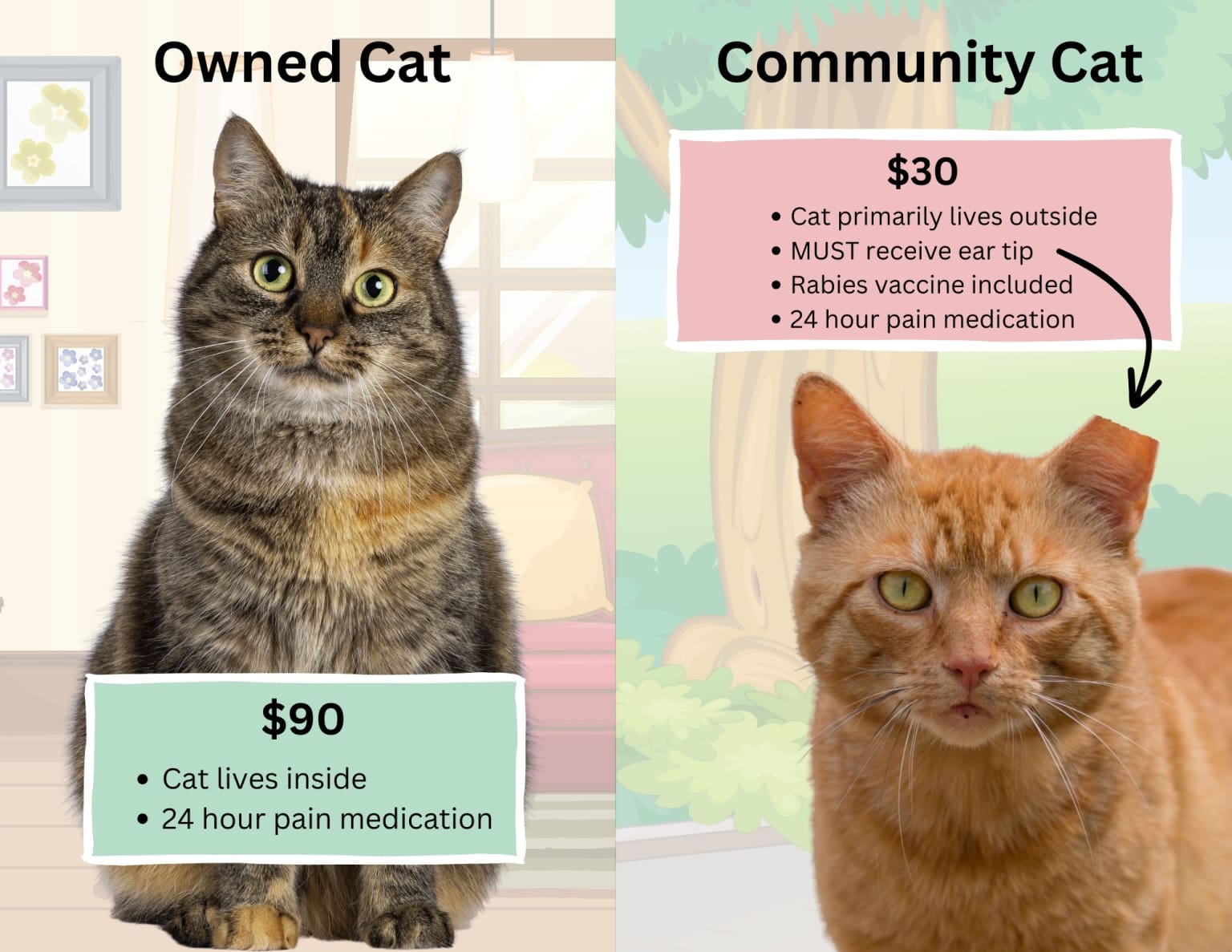 Schedule an Appointment - Humane Ohio