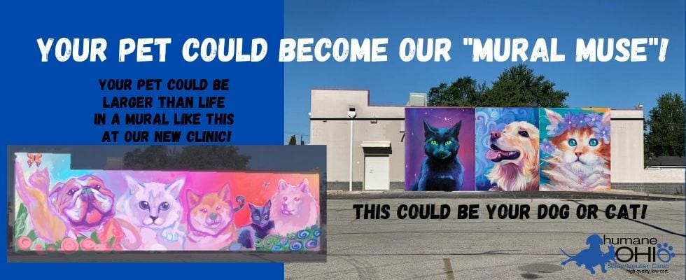 PDF Fact Sheets - Humane Ohio Spay/Neuter Clinic